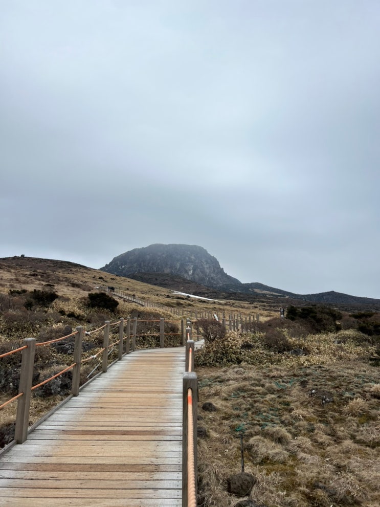 제주도 여행 한라산 영실코스 윗세오름 뚜벅이산행 : 네이버 블로그