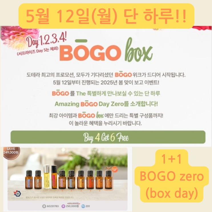 12일(월) 단 하루! 도테라 보고 (BOGO) 박스 데이, 10종을 반값에? 안 보면 후회!! : 네이버 블로그