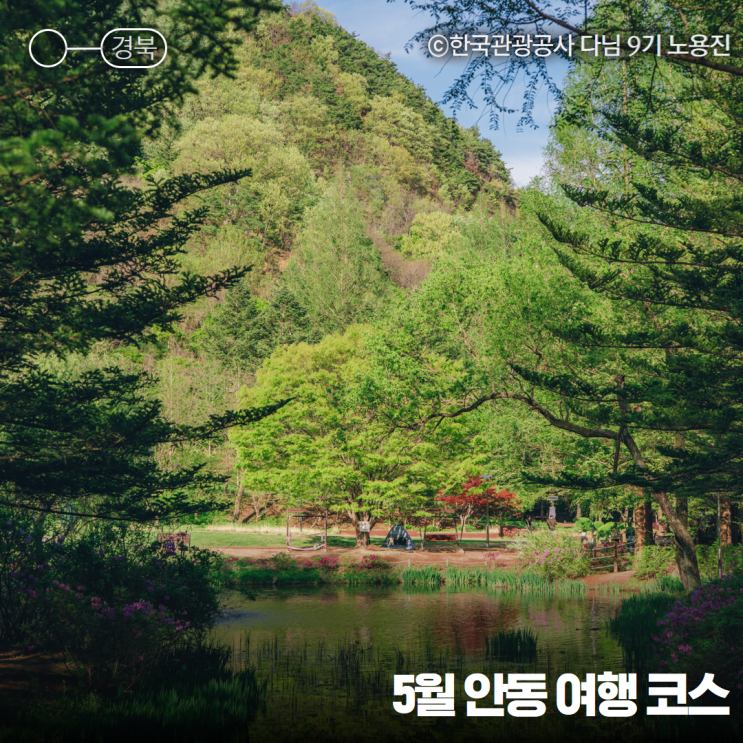5월 안동 가볼 만한 곳 경북 여행 코스 추천 안동 하회마을 낙강물길공원 안동구시장 네이버 블로그