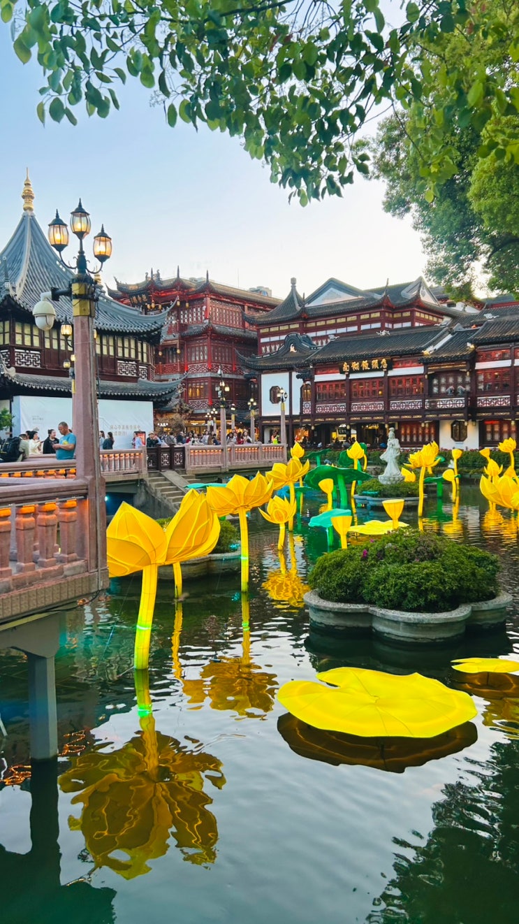 [상하이 여행🇨🇳] 딤섬 맛집 점도덕 | 예원 왕홍체험 솔직 후기‼️ | 상해 바질 칵테일 쓰촨시티즌 | 미니소 | 동방명주&와이탄 야경 : 네이버 블로그