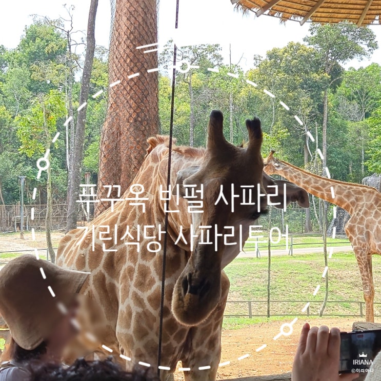 푸꾸옥 빈펄 사파리 기린 식당 : 네이버 블로그