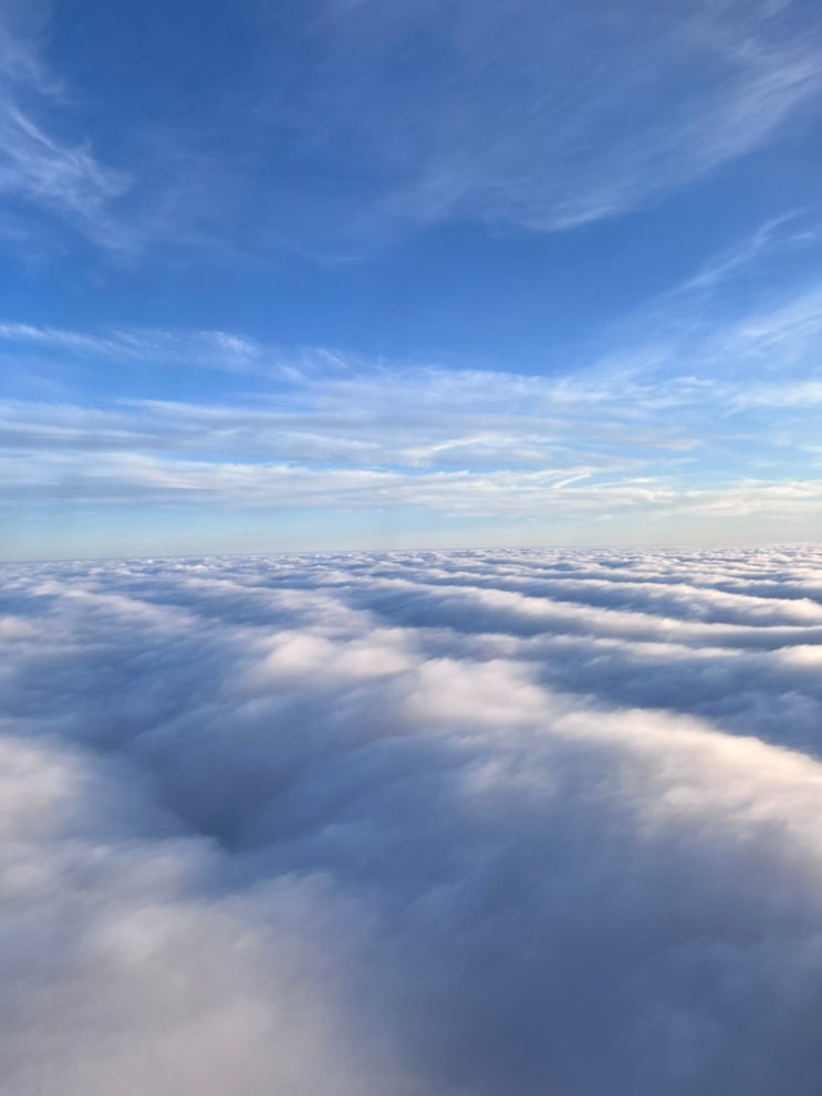 [영국여행] 대한항공 저자극 기내식(KE907, 908) : 네이버 블로그