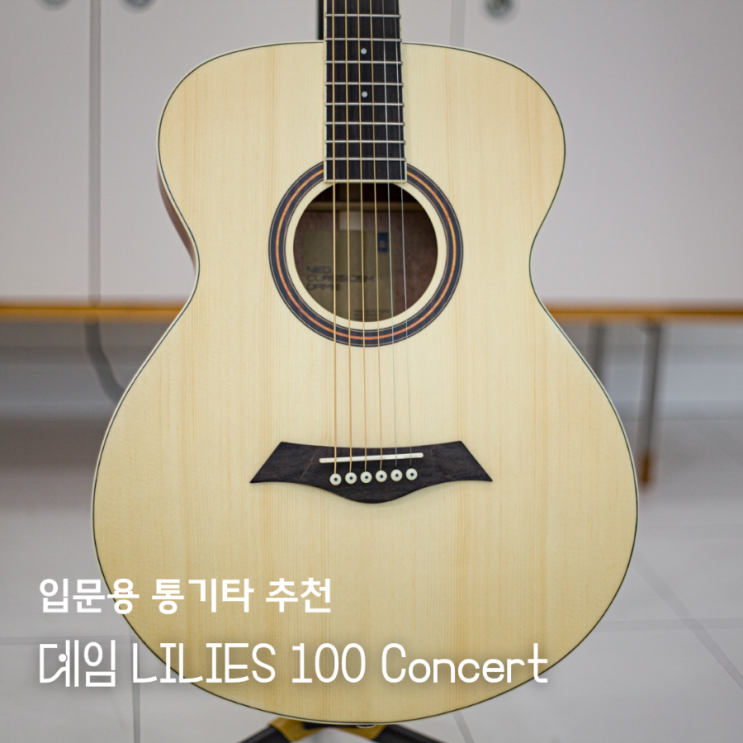 입문용통기타 추천, 데임 LILIES 100 Concert : 네이버 블로그