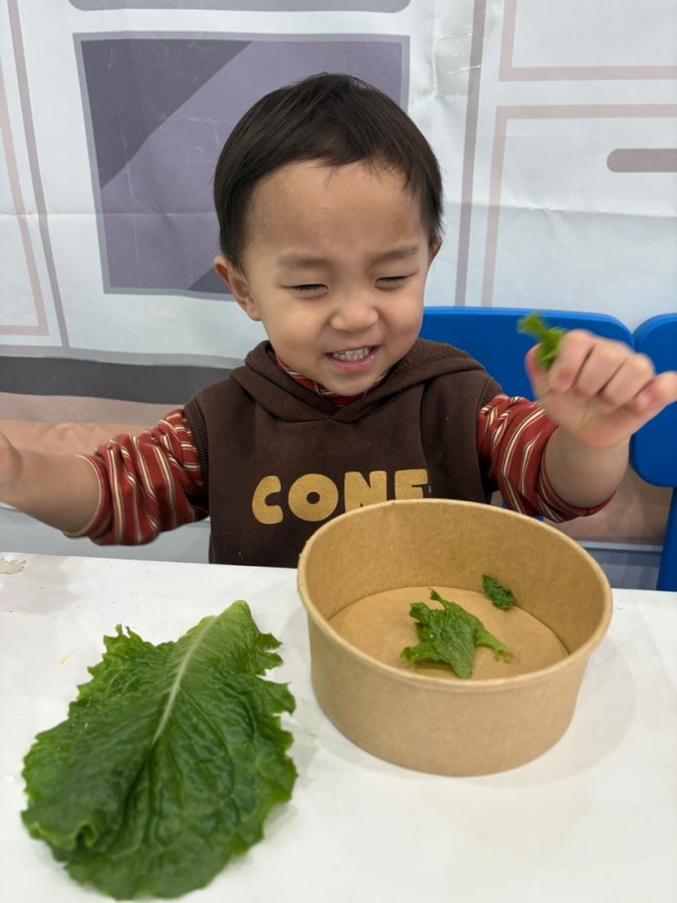 20250325 : 네이버 블로그