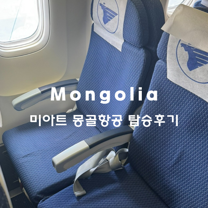 몽골여행 MIAT 미아트항공 탑승후기 ( feat. 기내식, 좌석 ,수화물 ) : 네이버 블로그