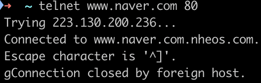 [HTTP 완벽가이드] Telnet 으로 웹서버와 대화해보기, cursor vpn 이슈 해결(http/2) : 네이버 블로그