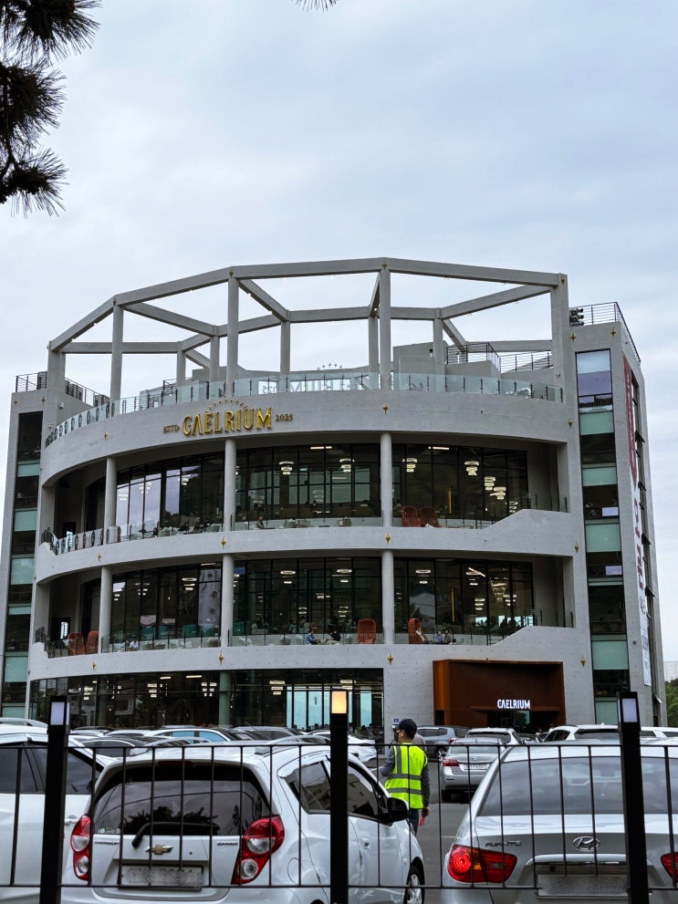 대형카페 카엘리움 부산 만덕 신상카페 내돈내산 솔직후기 : 네이버 블로그