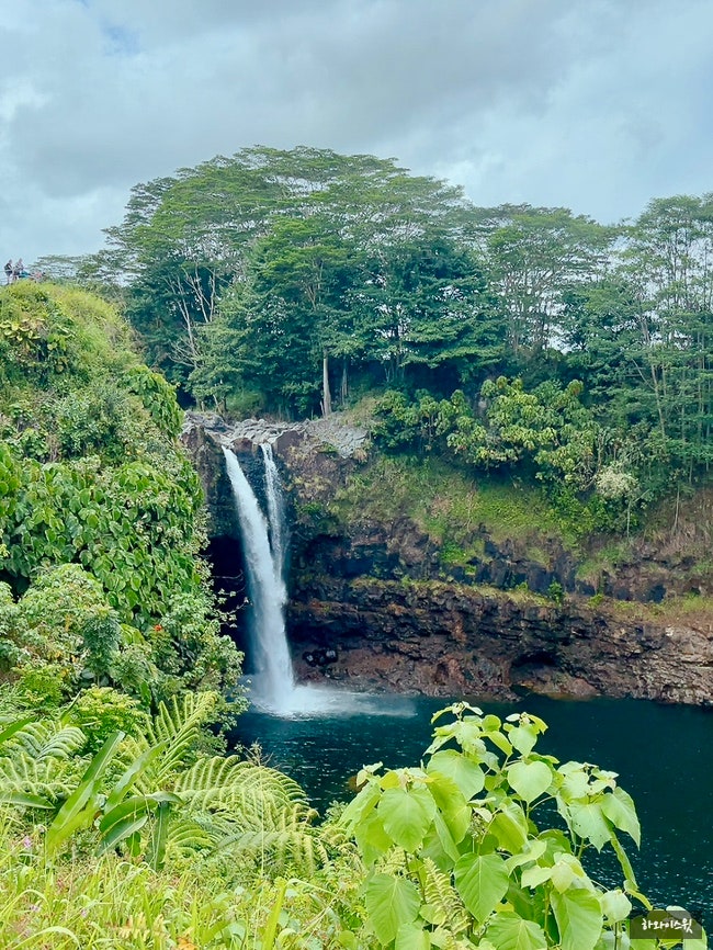 하와이 빅아일랜드 자유 여행 명소 레인보우 폭포 전망대🌈 Rainbow falls : 네이버 블로그