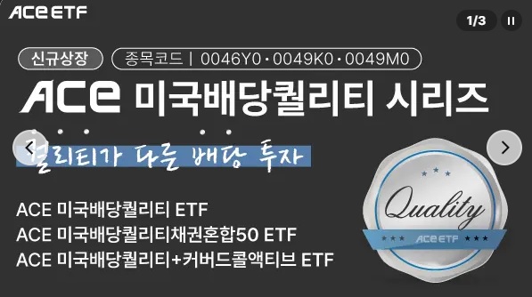 한국판 DGRW에 JEPI JEPQ까지 담았다구? ACE 미국배당퀄리티 커버드콜 액티브 ETF 미배퀄 시리즈 : 네이버 블로그