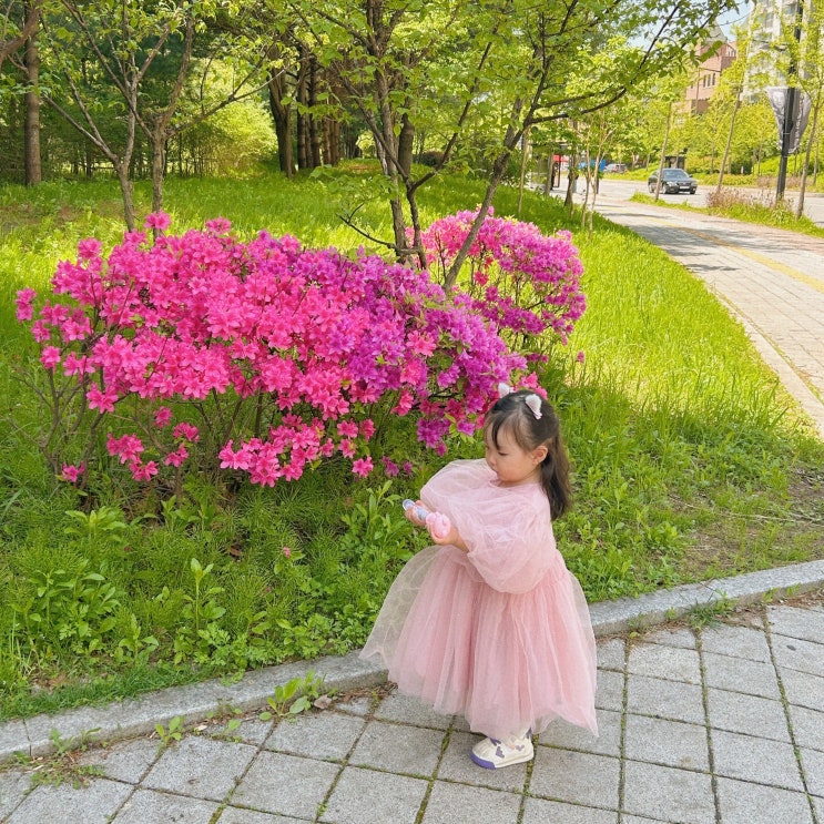 사랑으로 가득한 5월의 일상 : 네이버 블로그