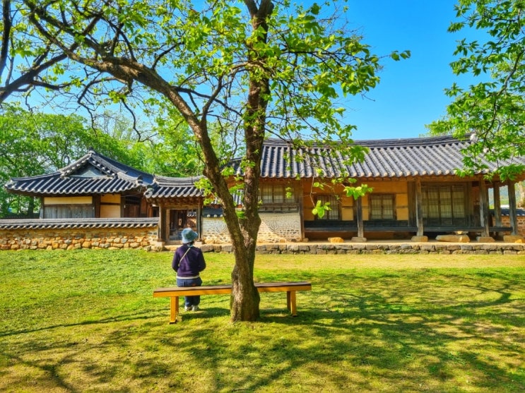 보령 문화유산 김좌진장군묘 신경섭가옥 청라은행마을 천년나무 : 네이버 블로그