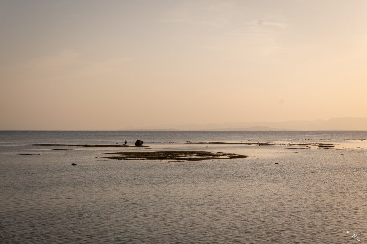 Epilogue from 이시가키 (Ishigaki Island) - 풍요로운 세상 : 네이버 블로그