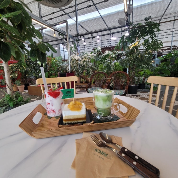 [충남태안] 태안 바다 앞 카페 아이랑 가기 좋은 태안 카페 +[파도로 CAFE PADORO] 태안 식물카페 태안 대형카페 추천 ...