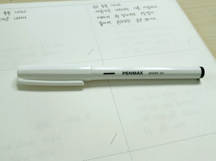 다이소 세필수성펜 팬맥스 penmax spider 122 천원에 3자루, 필기감 굿 : 네이버 블로그