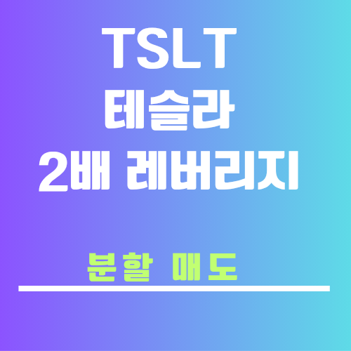 테슬라 TSL3 대신 2배 레버리지 TSLT ETF 수익실현과 후기 : 네이버 블로그