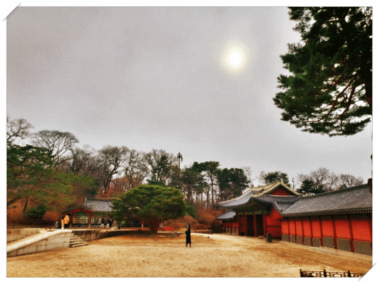 캐피탈공매 투자 전략과 리스크 관리 방법 : 네이버 블로그