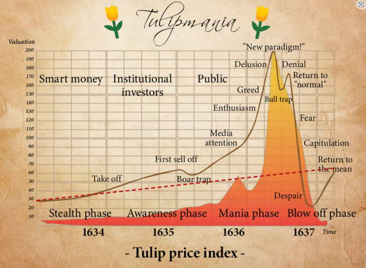 Bubble의 원조 튤립(Tulip), 그리고 커져가는 새로운 버블 Dollar : 네이버 블로그