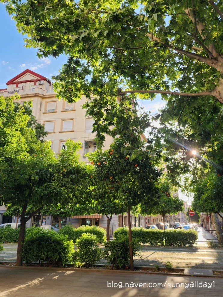 스페인 그라나다 여행 1일차 : 바르셀로나에서 그라나다로. 그라나다 올드 타운 호스텔 Granada Old Town Hostel ...