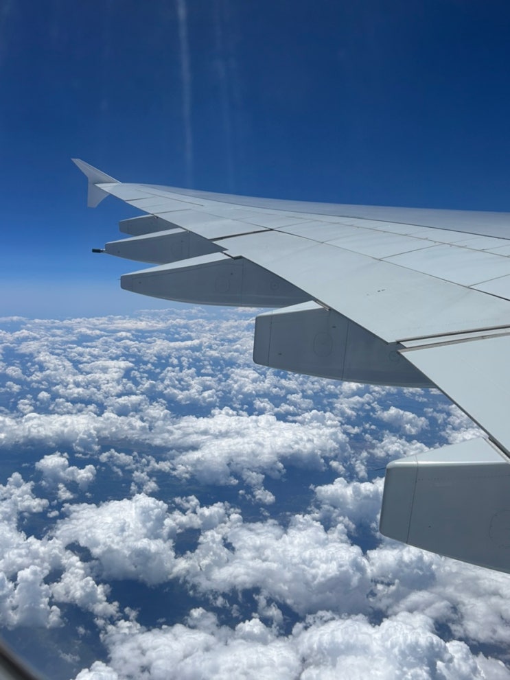 103일간의 유럽 여행, 지금 시작합니다 : 네이버 블로그