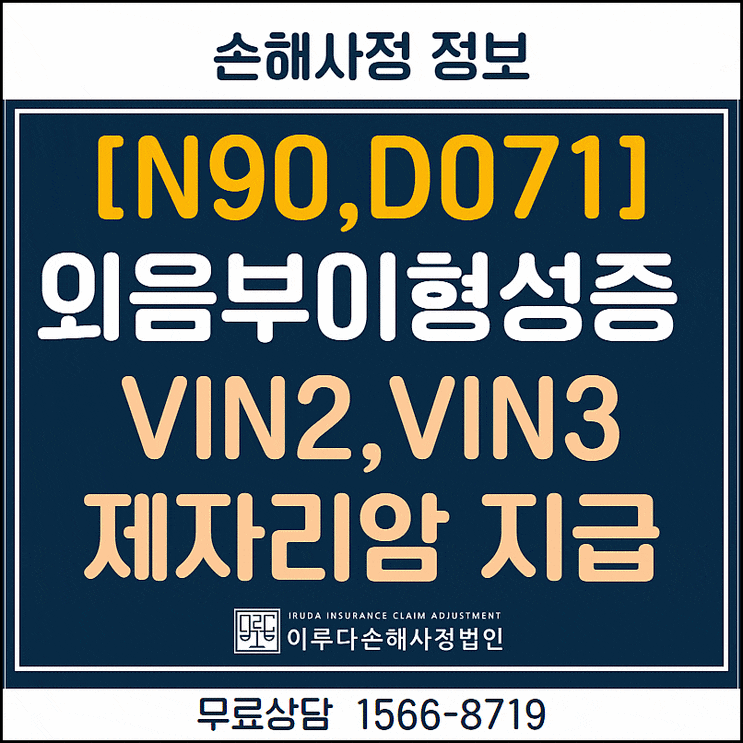 외음부이형성증 암보험금 VIN2, VIN3 제자리암 지급 분쟁 숨막힌다 : 네이버 블로그