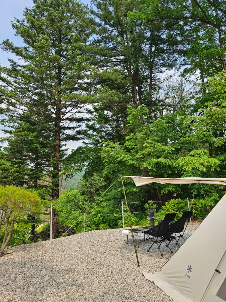 #31. 믿고 가는 우니메이카(우니메이카춘천점,A6) : 네이버 블로그