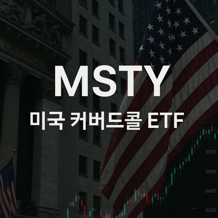 미국 배당 ETF MSTY 재투자 (25년 5월) :: 투자기록용 : 네이버 블로그