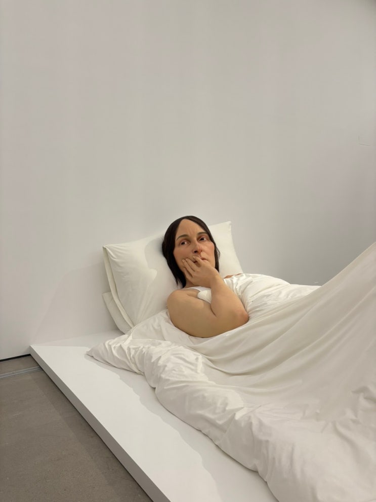 [서울] 국립현대미술관 론뮤익 서울 전시회 추천 무료관람 후기 : 네이버 블로그