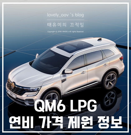 2025 QM6 제원 정보 연비 가격 살펴보기 : 네이버 블로그