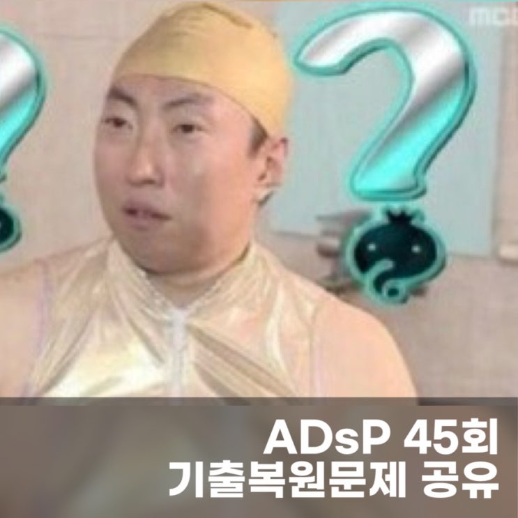 ADsP 제45회 기출문제 복기 독학 책 2025년 시험일정 : 네이버 블로그
