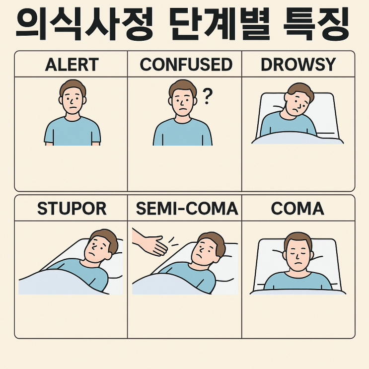 환자 의식사정 Alert, Confused, Drowsy, Stupor, Semi-coma, Coma 단계별 특징 : 네이버 블로그
