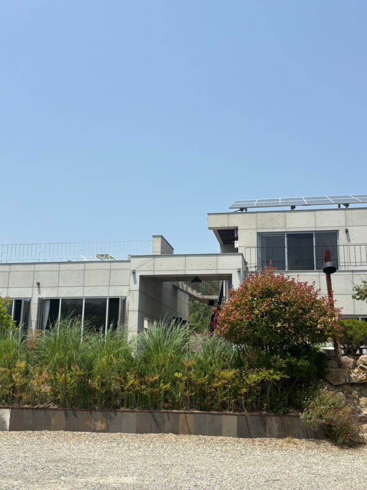 울산 성안동 분좋카 조용한 힐링 감성카페 [소오소오] : 네이버 블로그