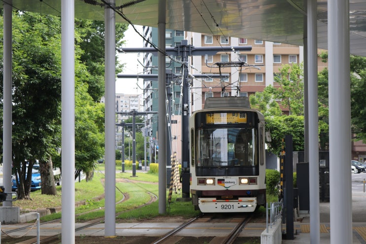 2025.05.15~19 첫 일본 여행기(1일차) : 네이버 블로그