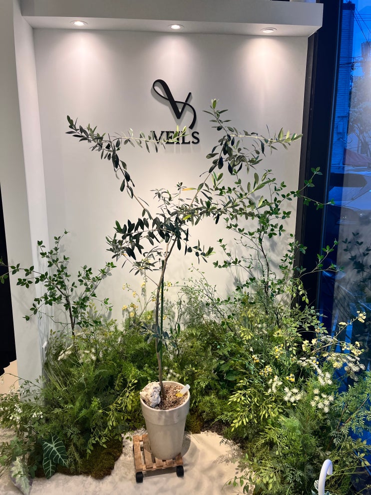 w8.대구 2부드레스 대여 베일즈 예약 피팅 후기 : 네이버 블로그