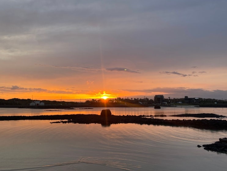 5.23 어 난데 나 돌아왔어, : 네이버 블로그