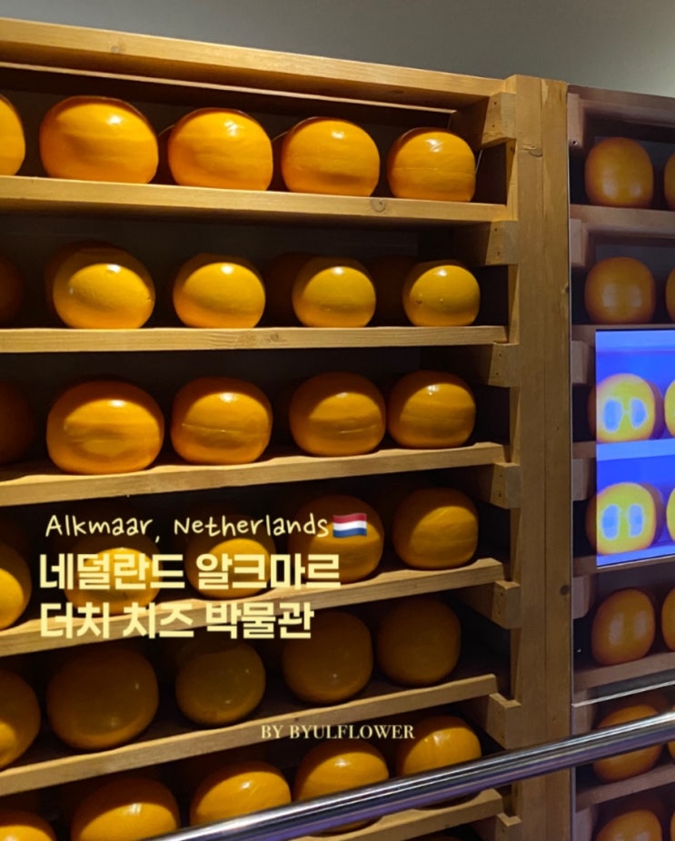 네덜란드 알크마르 뮤지엄 | 알크마르 더치 치즈 박물관(Dutch Cheese Museum) 관람 후기 : 네이버 블로그