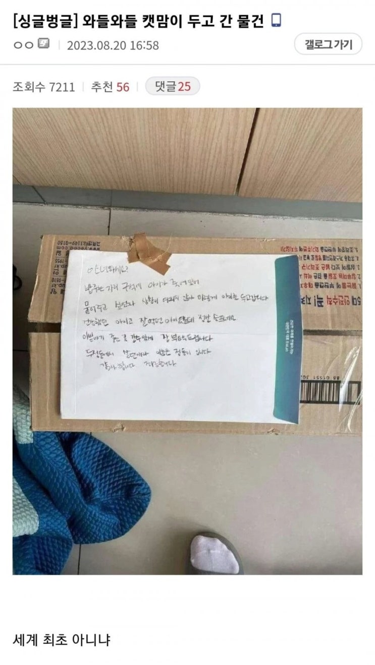 (유머) 어느 캣맘이 두고간.jpg : 네이버 블로그