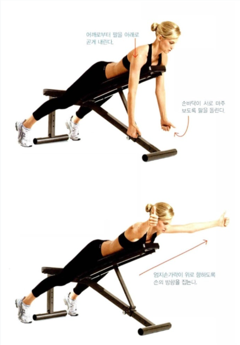 [해운대헬스][장산pt][좌동피티]등운동시 한쪽 어깨가 뜨세요 ? 원인은 승모근 ! : 네이버 블로그