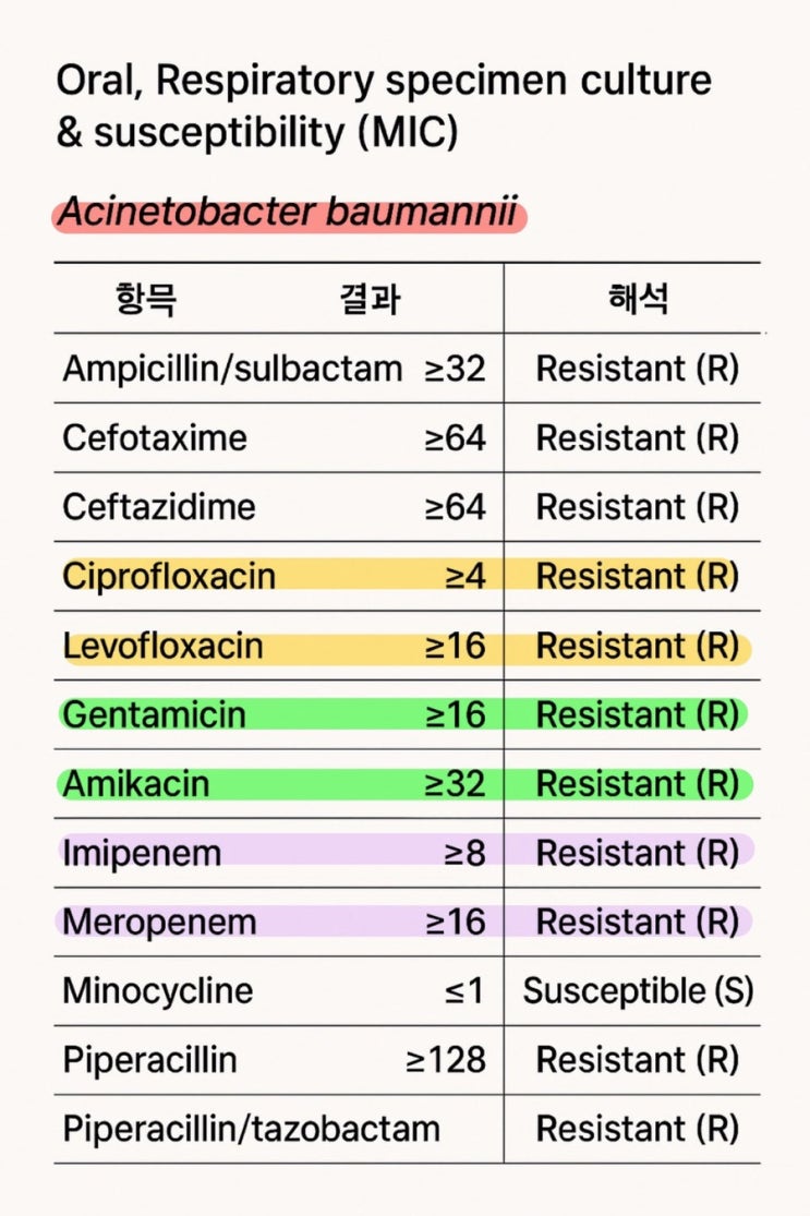 MRAB 감염이란? 의학용어, 뜻, 검사, 격리, 격리 기준, 격리 해제부터 항생제 치료까지 한눈에! : 네이버 블로그