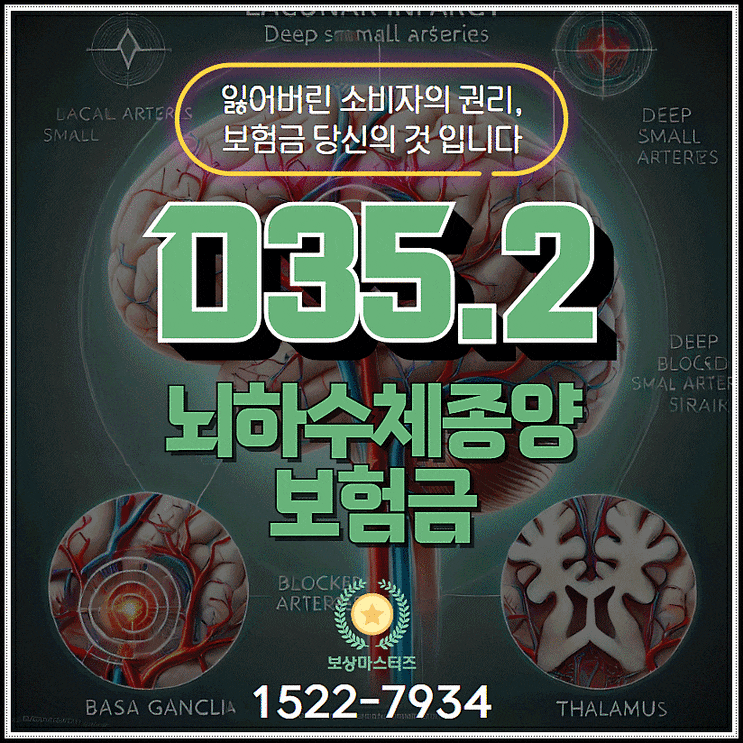 뇌하수체종양 D35.2 암진단비 분쟁 하드하네요! : 네이버 블로그