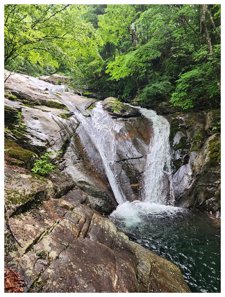 [지리산]칠선계곡에서 천왕봉 오르기 2025.5.23 : 네이버 블로그