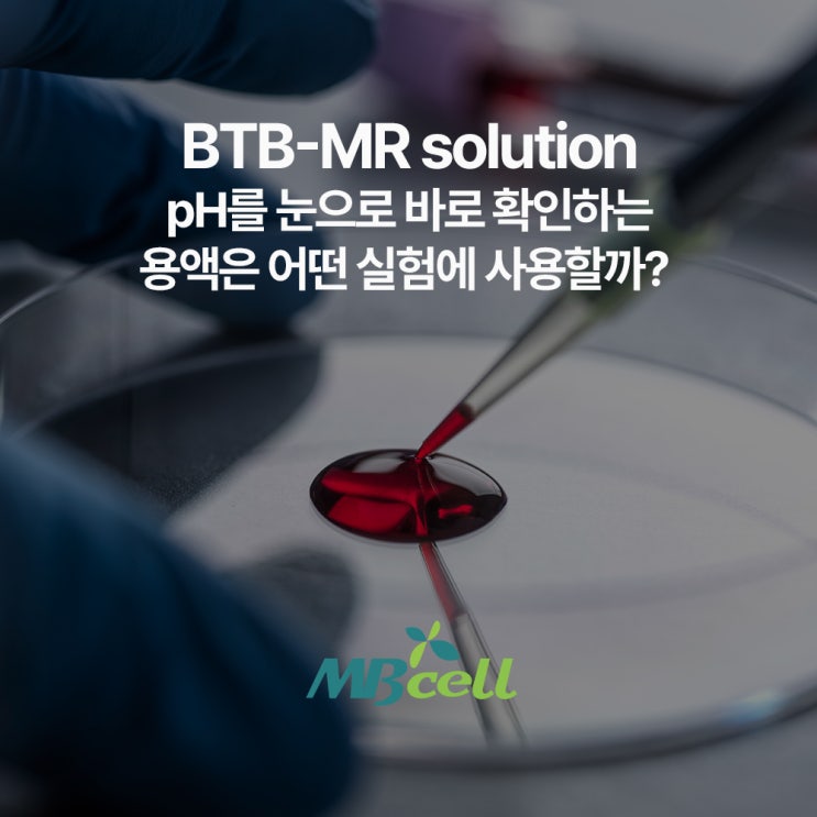BTB-MR solution, pH를 눈으로 바로 확인하는 용액은 어떤 실험에 사용할까? : 네이버 블로그