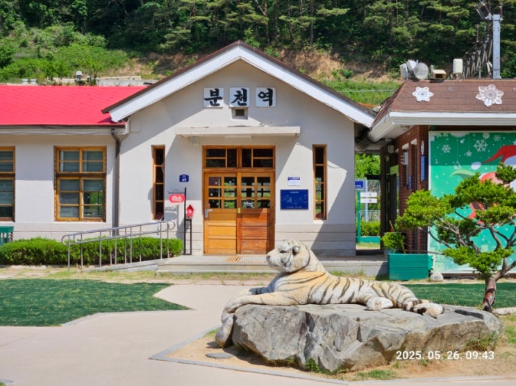 20250526 차박여행 50일차 - 봉화여행 (분천 산타마을, 분천역, 백두대간 협곡열차, 철암역, 철암탄광역사촌, 산타열차, 봉화한수정) 후기 : 네이버 블로그