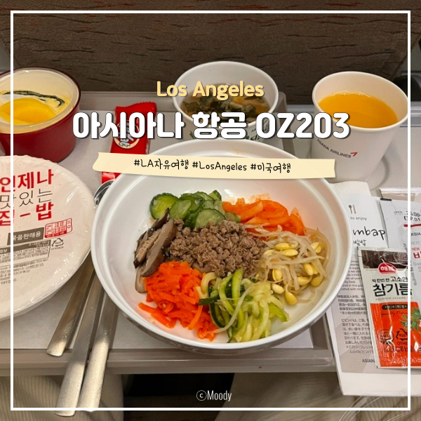 아시아나항공 2층 비행기 OZ203 LA 여행 귀국 비행 후기 사전예약 좌석 기내식 수하물 규정 : 네이버 블로그