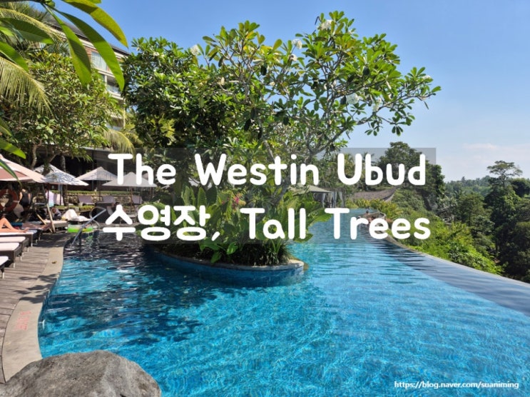 [발리/우붓] The Westin Resort & Spa Ubud, Bali 더 웨스틴 리조트 앤 스파 우붓 수영장, Tall ...