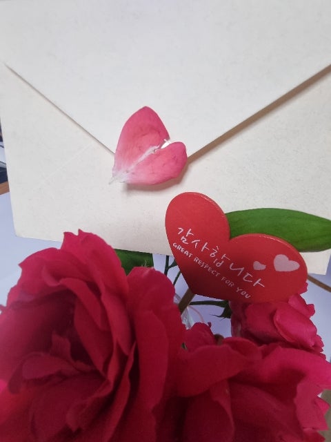 감사로 시작하는 하루 | 서약-알리 | Pledge - Ali-誓約-アリ| 사랑으로 감사함으로 | 연꽃파드메 : 네이버 블로그