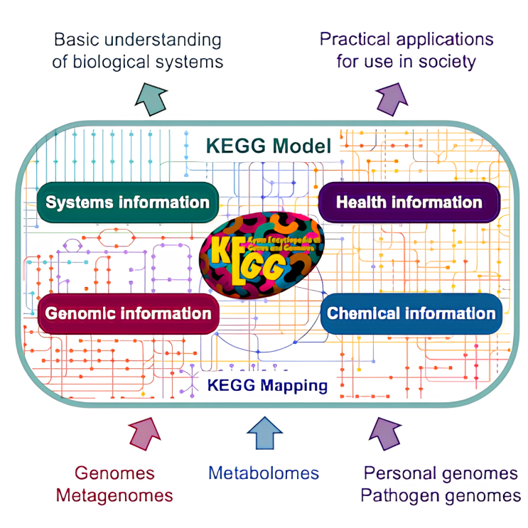 [KEGG] KEGG 데이터베이스 개념 정리 : 네이버 블로그