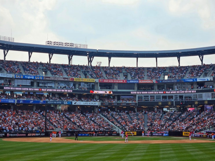 한화생명볼파크 외야잔디석 밤켈존 500블럭, 한화 VS SSG _ 250517 (KBO신기록 폰세18K,플로리얼석) : 네이버 블로그