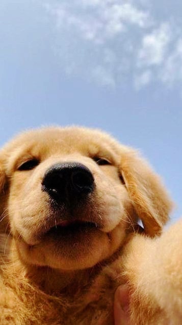 [gs25] 25년5월 vip쿠폰 장보기 외 역대 1만원챌린지 쇼핑 몰아보기_요즘 실망 쥐에스_이젠 안녕_안녕은영원한헤어짐은아니겠지요 : 네이버 블로그