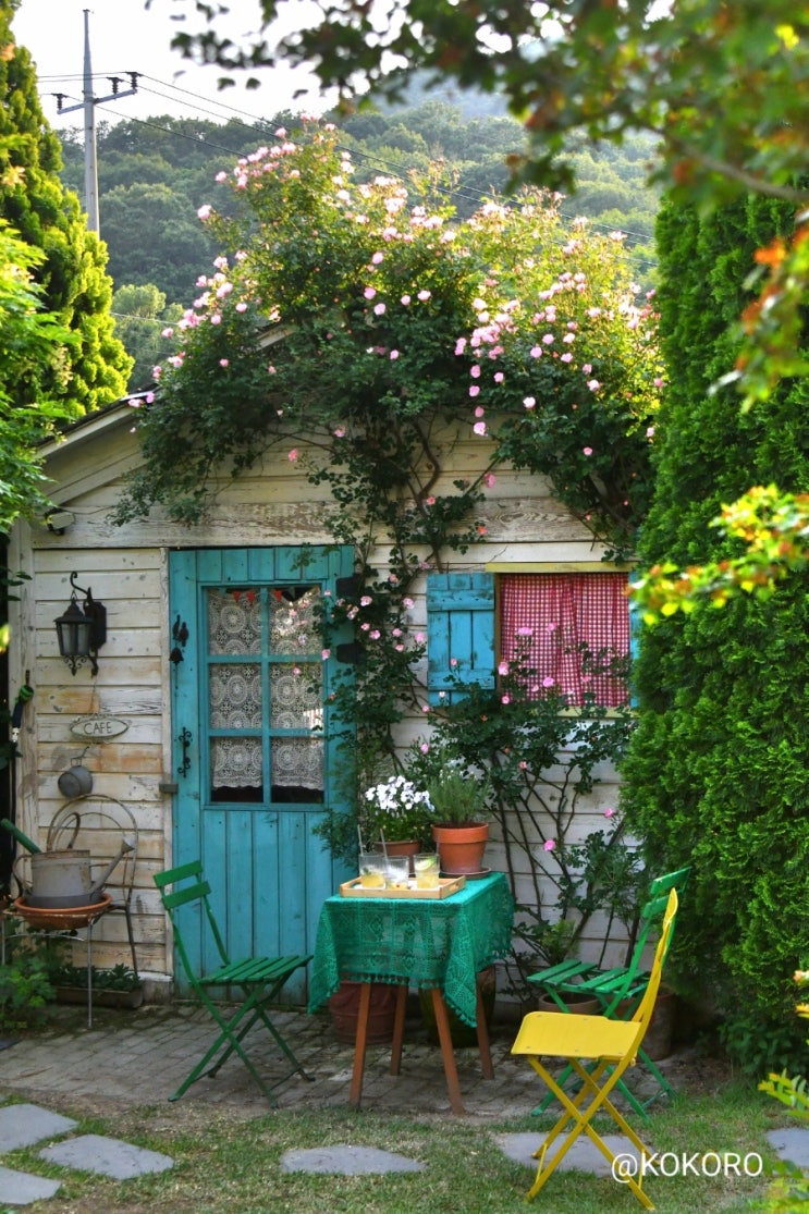 5월의 정원카페 보니비 : 네이버 블로그