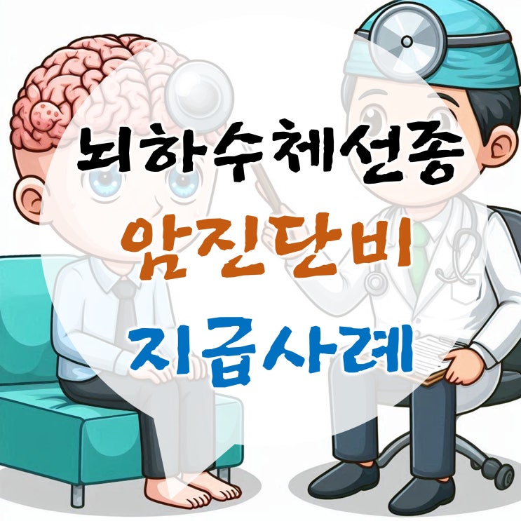 D35.2 뇌하수체선종 일반암 진단비 지급받은 실제 후기 공개 : 네이버 블로그